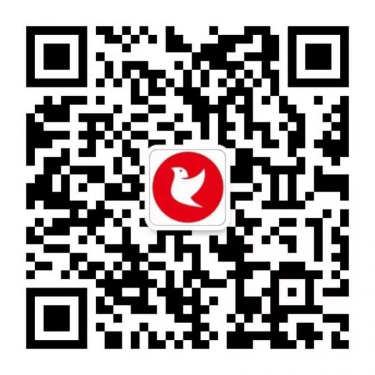 港澳台 環球頭條 環球新聞報